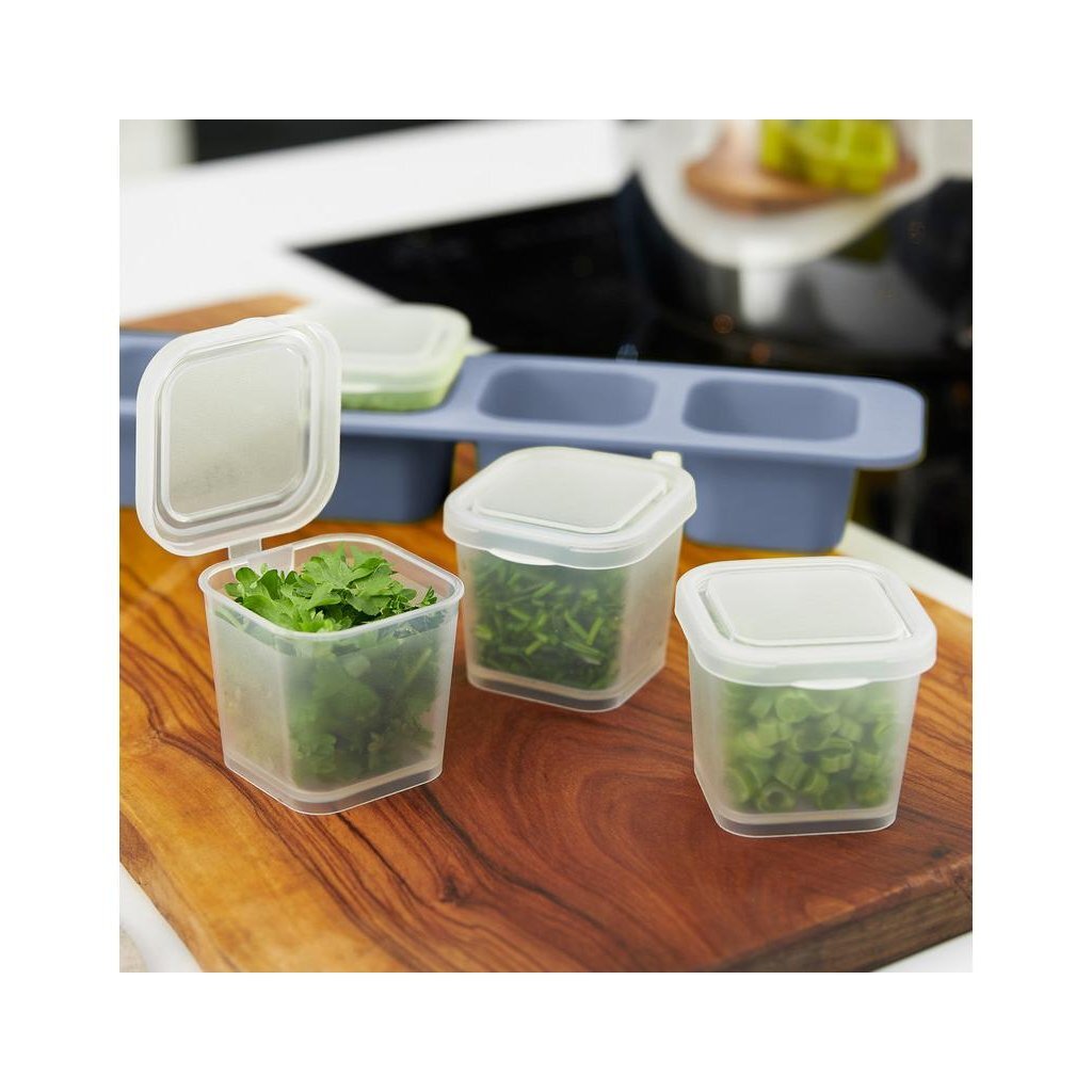 Rotho Mini Diepvriesdoosjes 4×0.05L Horizon Blauw/Transparant ...